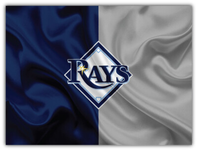Tampa Bay Rays MLB Baseball Sport Logo Car Bumper Sticker Decal "SIZES ...