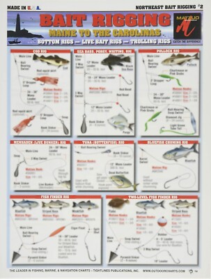 Saltwater Bait Rigging Guide #2 (Northeast)- Waterproof Reference | eBay