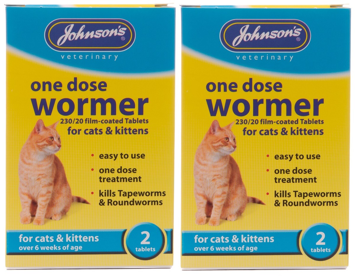 Roundworms In Cats Intestinal Worms In Cats| Perth Cat Hospital