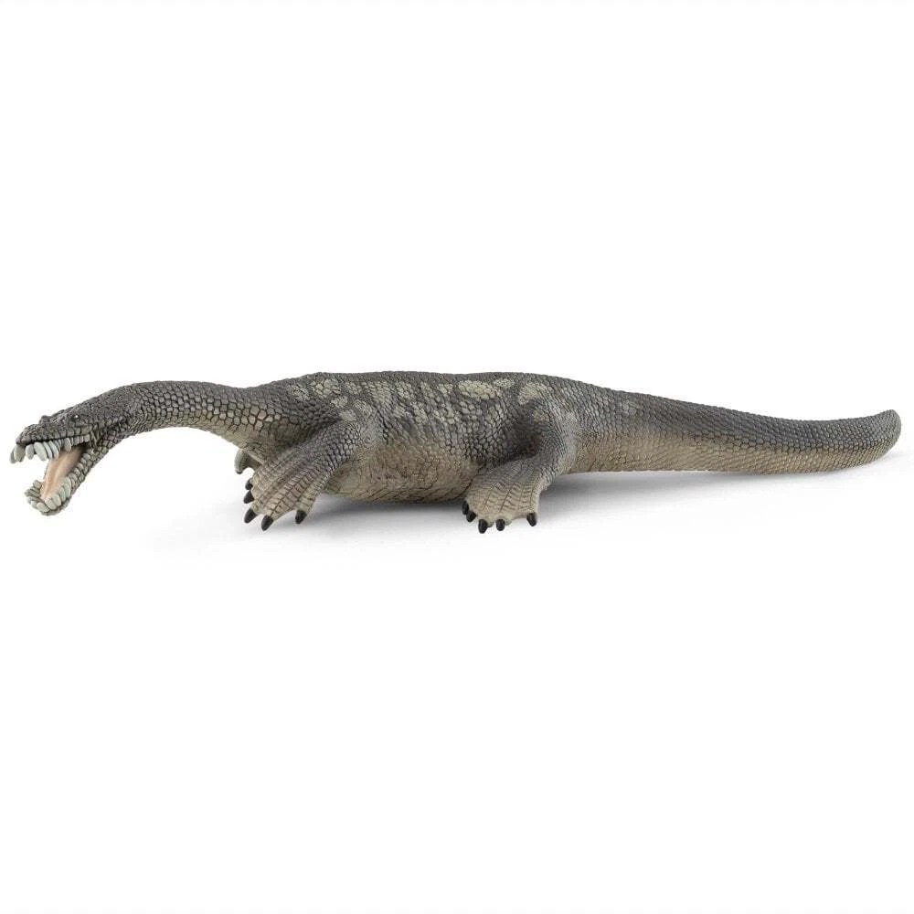 Nothosaurus Sea Monsters