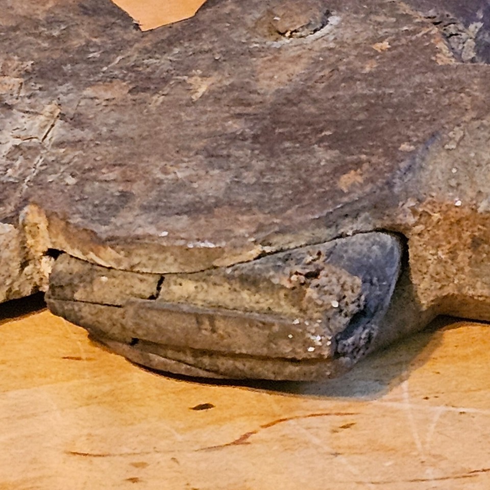 Antique Primitive Hand Tool Hammer Hatchet Shingling Axe Oak Handle ...