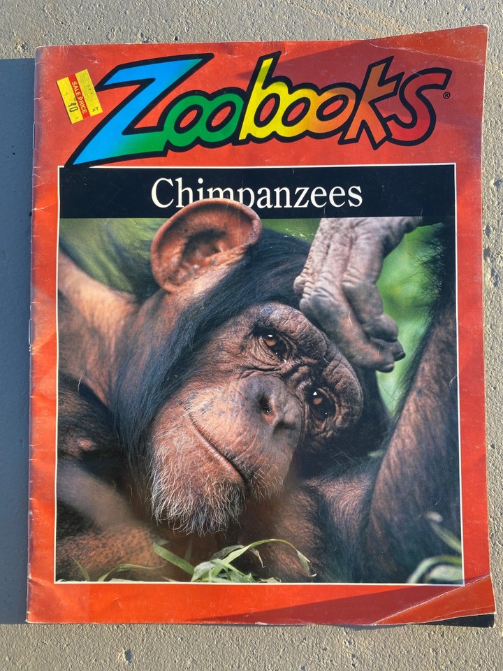 VTG-Lot of 6 Zoobooks Magazines-Turtles, Bats, Wolves, Cheetahs etc ...