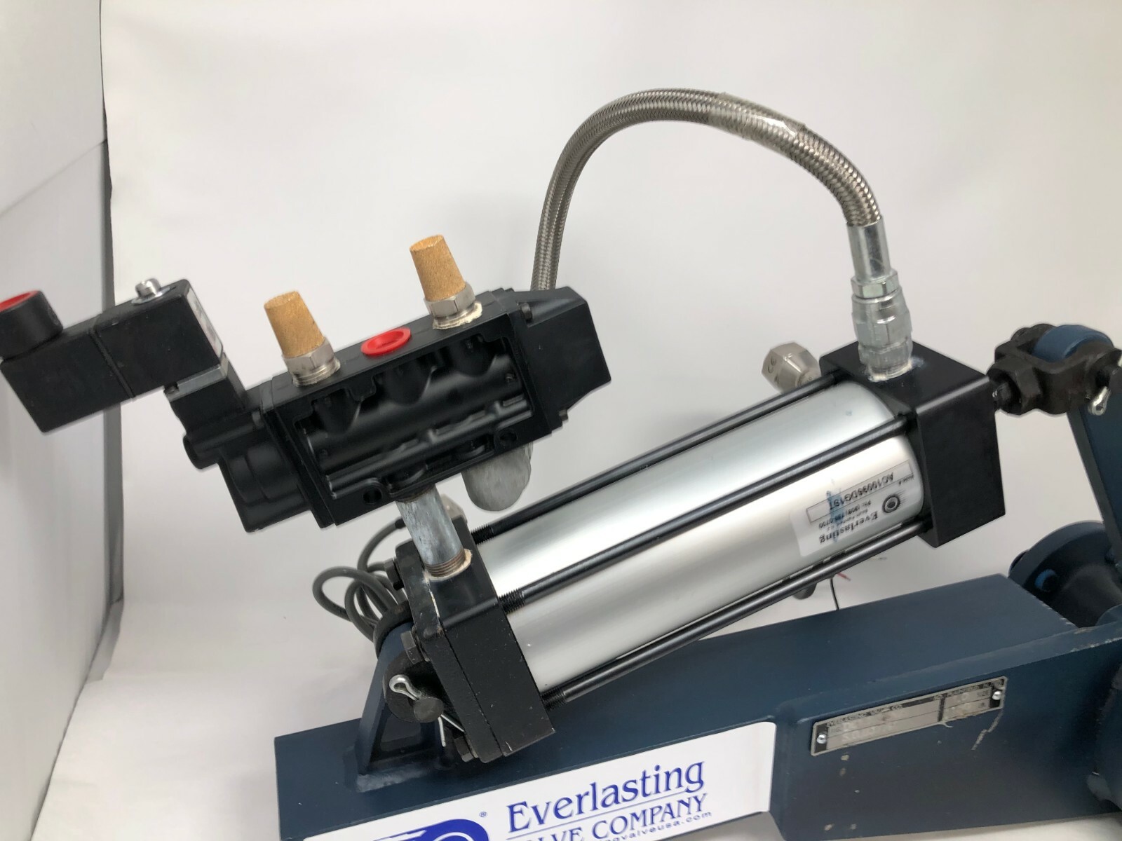 Everlasting Valve Fig. DD151C1NA Size:1 150Lb. Process Valve, Cylinder ...