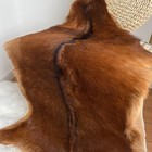 Red Deer Hide Rug Deer Skin Rug Deer Taxidermy Fireplace Deerskin Decor ...