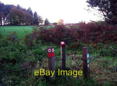 Photo 6x4 This way and that way Kings Clipstone Sherwood Pines Forest ...