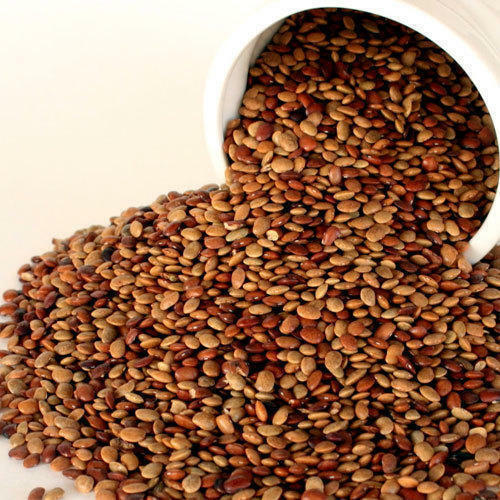 Horse Gram / Kulith / Vulavalu / Huruli / Kulthi Seed Legume Lentil ...