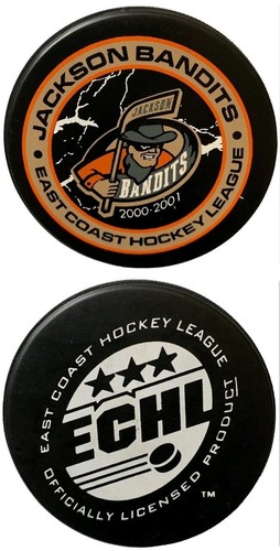 2000-2001 JACKSON BANDITS ECHL EAST COAST HOCKEY LEAGUE OFFICIAL GAME ...