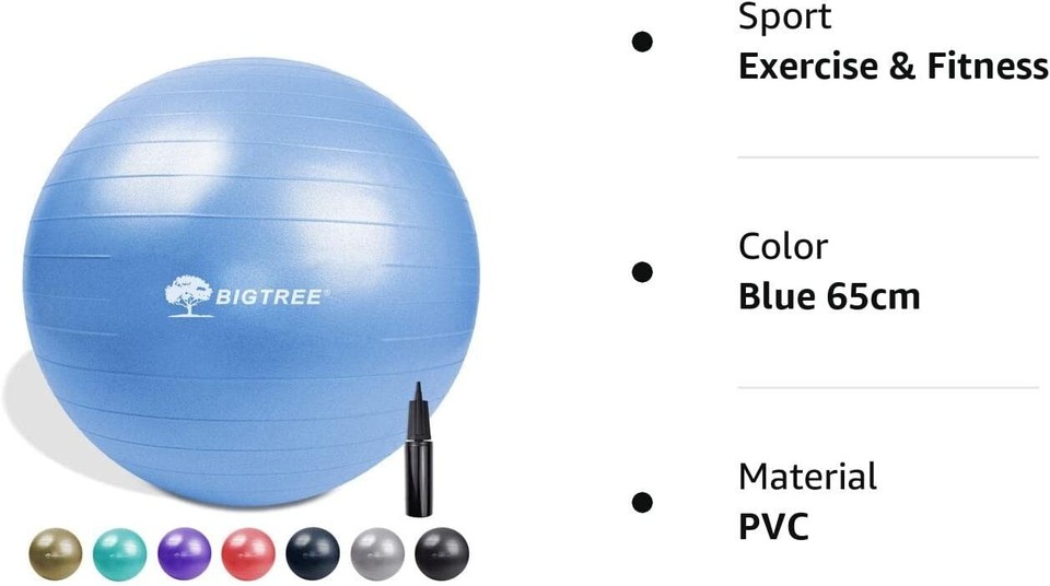 25.5″ (65cm) Yoga Ball Exercise Core Stability Strength Anti-Burst Blue ...
