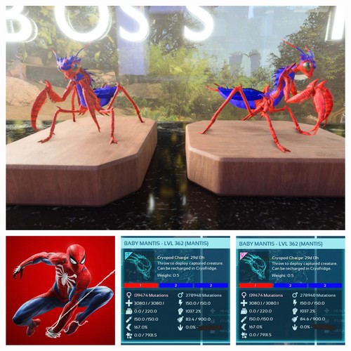 ARK ASCENDED PVE OFFICIAL PAIR BABY MANTIS SPIDERMAN 1k MELEE TOP ...