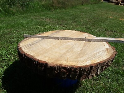Baumscheibe Eiche 45 ~50 × 6 cm Holzscheibe Hochzeit Deko Tisch Platte | eBay.de