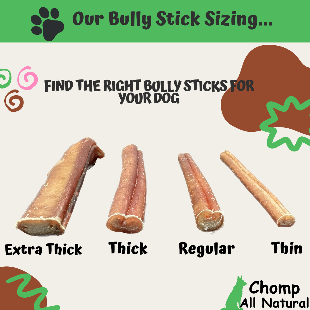 6" inch BULLY STICKS Natural Dog Treats Chews USDA & FDA Approved, By ...