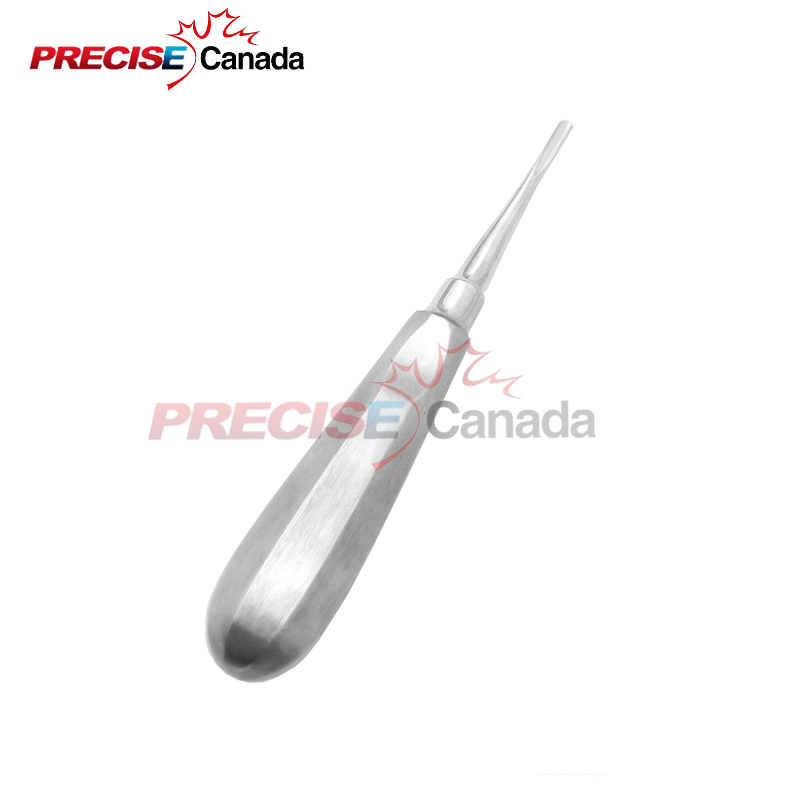 Apical # 301 Root Elevator Surgical Dental Instruments Stainless Steel ...