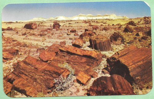 *Petrified Forest Of Arizona** | eBay Australia