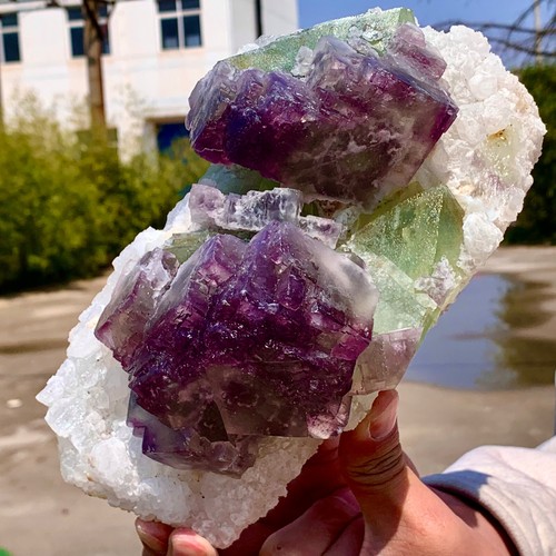 6.55LB Rare transparent Purple Green cubic fluorite mineral crystal ...
