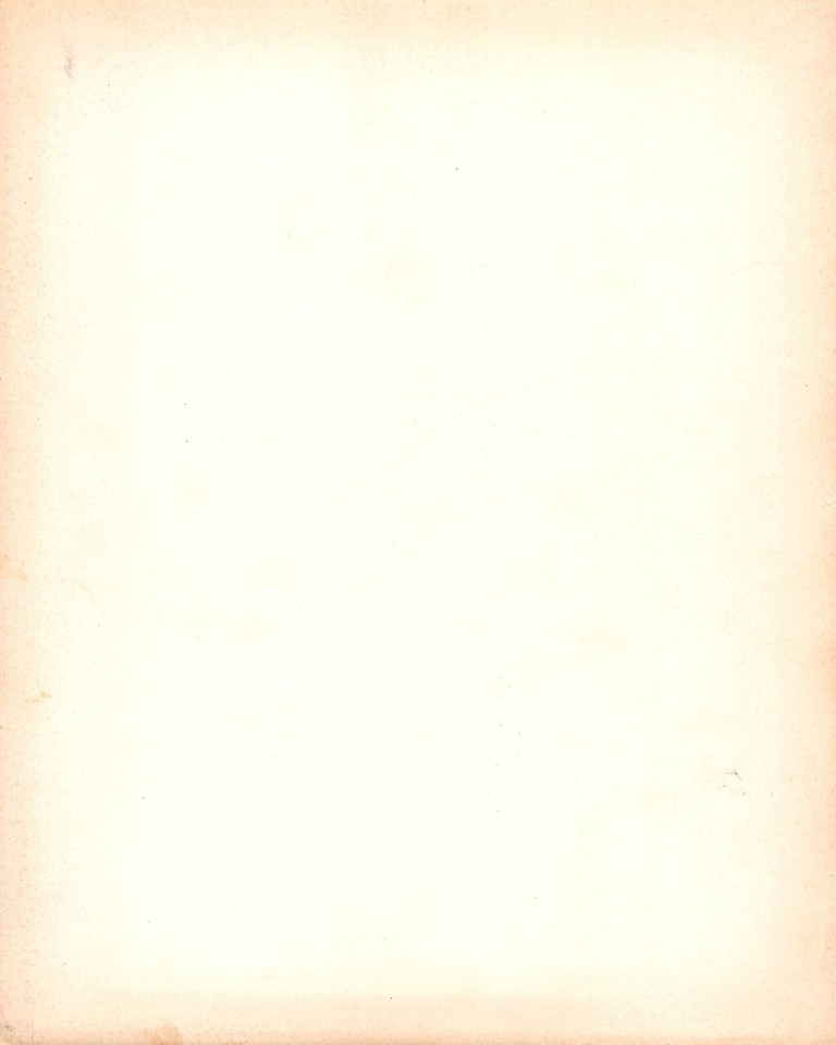 Elizabeth Taylor (1950s) Original Vintage Sexy Leggy Cheesecake MGM ...