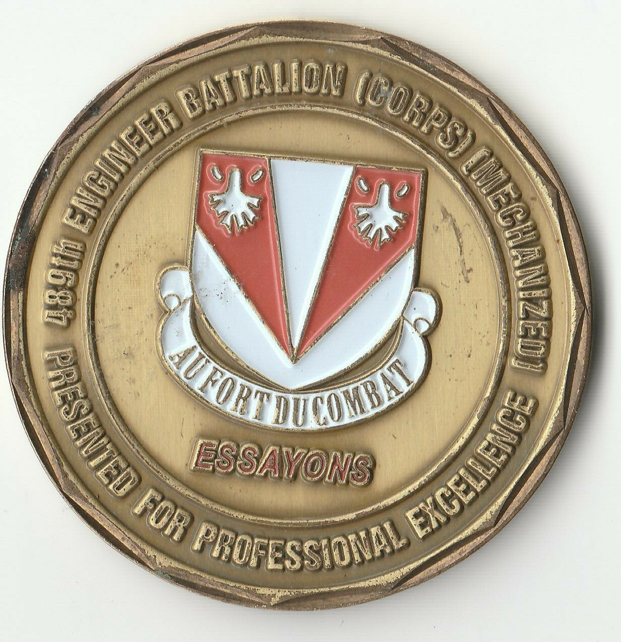 489th Engineer Battalion ESSAYONS SAPPER FORWARD Challenge Coin 2" DIA ...