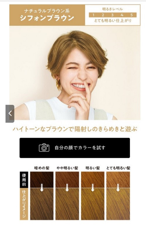 [LIESE] Prettia Kao Natural Design Creamy Bubble Hair Dye Color CHIFFON ...