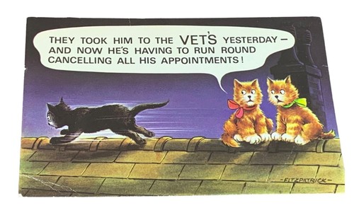 Vintage Postcard-Comic Cat’s -Tom Cat getting fixed canceling dates ...