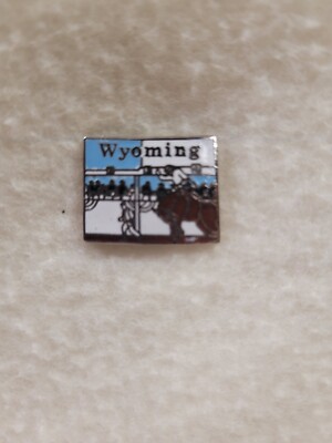 Vintage Wyoming State Rodeo Themed Lapel/Tie Tac Pin | eBay UK