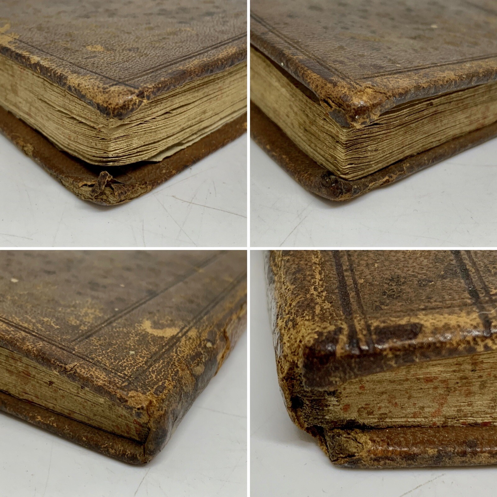 1694 Thomas Sydenham Compleat Method Curing Diseases First English ...