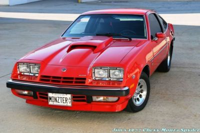 1975-1980 Monza Sunbird Skyhawk Stinger SHOWCARS Universal Fit Hood ...