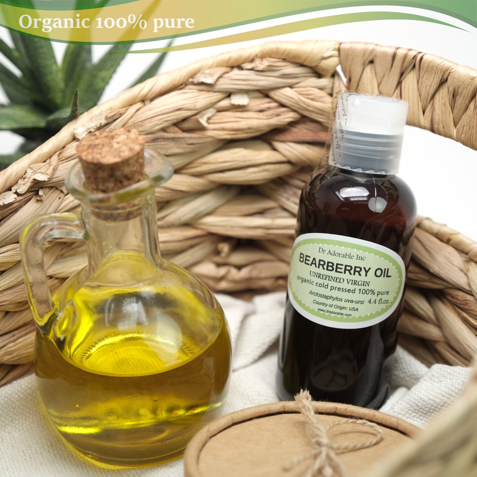Premium Bearberry Seed Oil Unrefined Cold Pressed Pure Organic Fresh ...