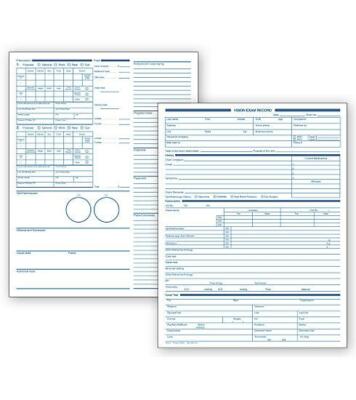 250 Optometry Vision Exam Records, 2-Sided, White Ledger / Nebs Deluxe ...