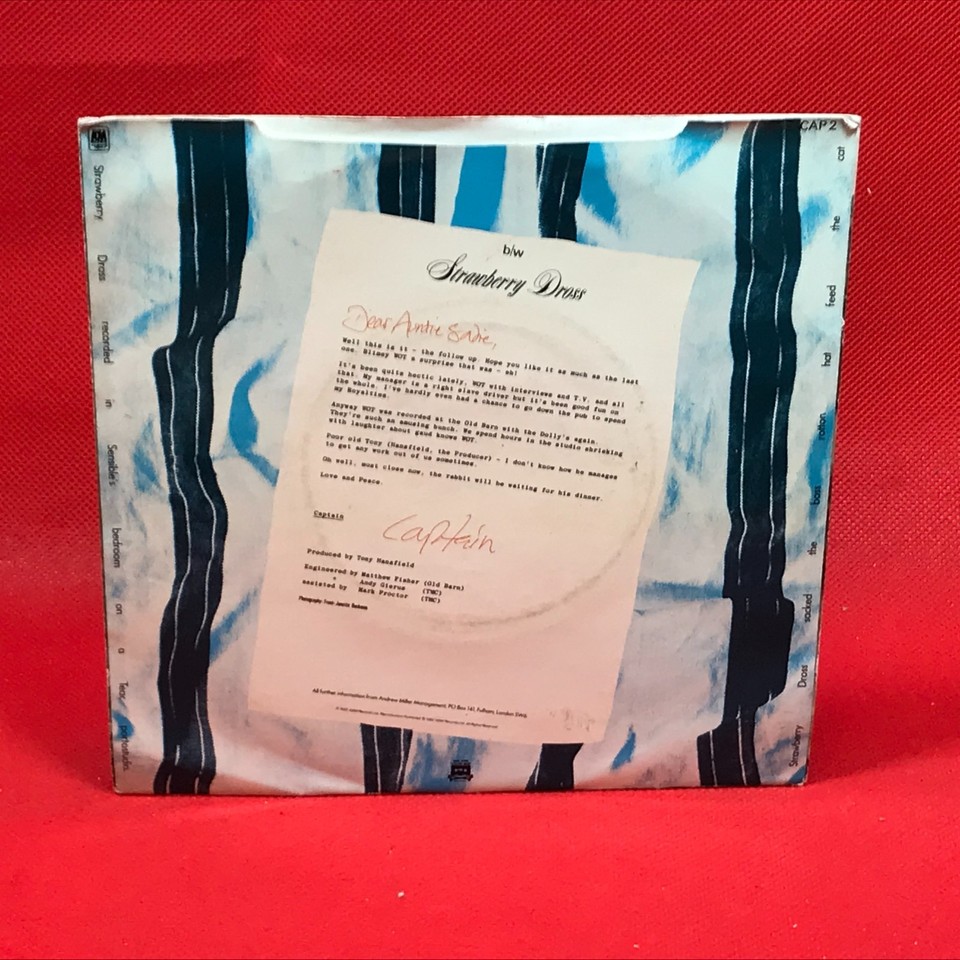 CAPTAIN SENSIBLE Wot 1982 UK 7" vinyl single original 45 Damned what ...