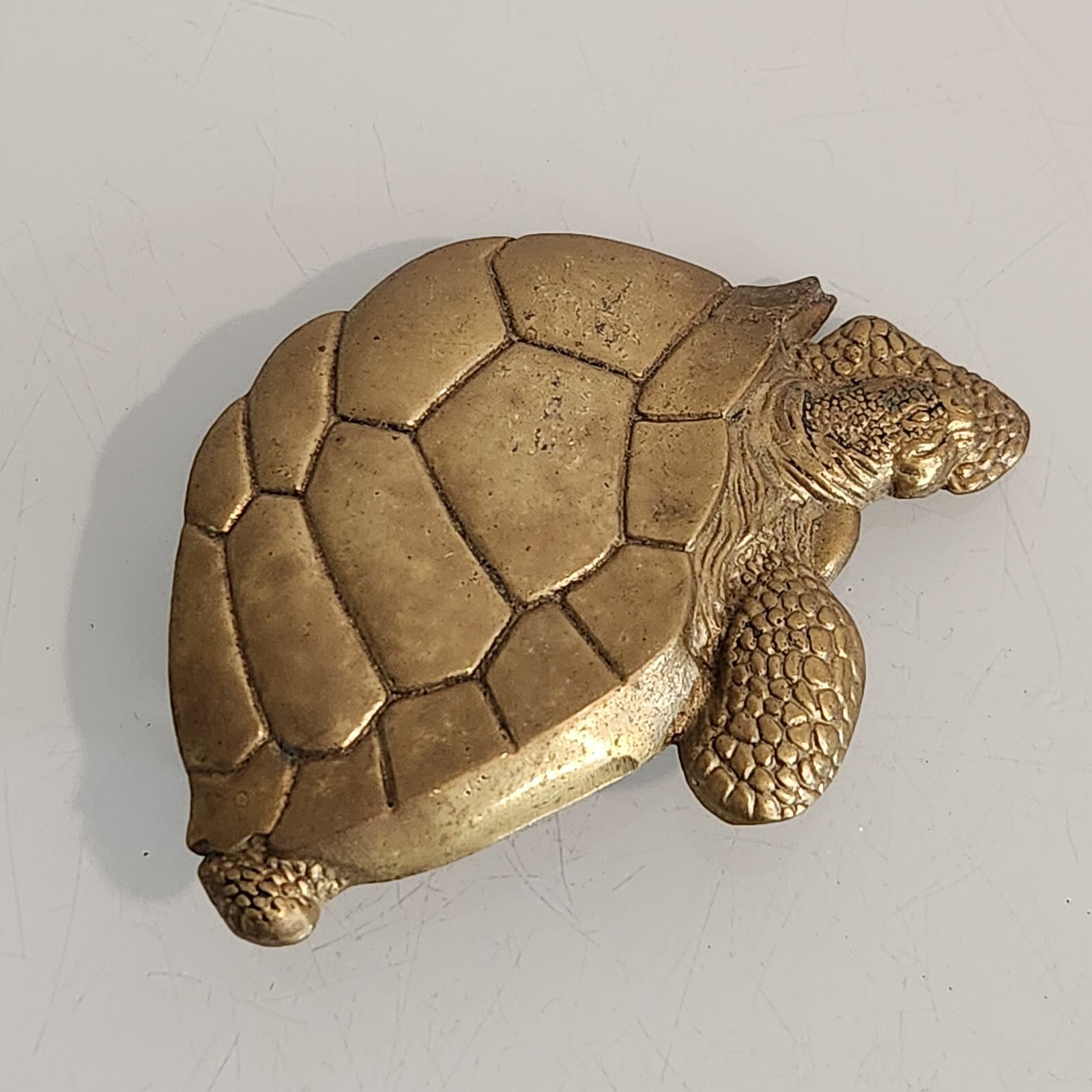 Turtle Belt Buckle Iconic 70s Brass Nautical Hippie B… - Gem