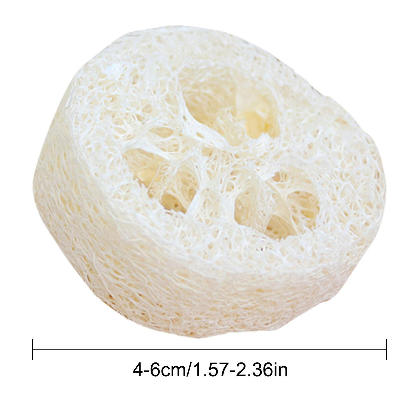 Natural Loofah Luffa Loofa Slices 10PCS Quality Sliced DIY Product ...