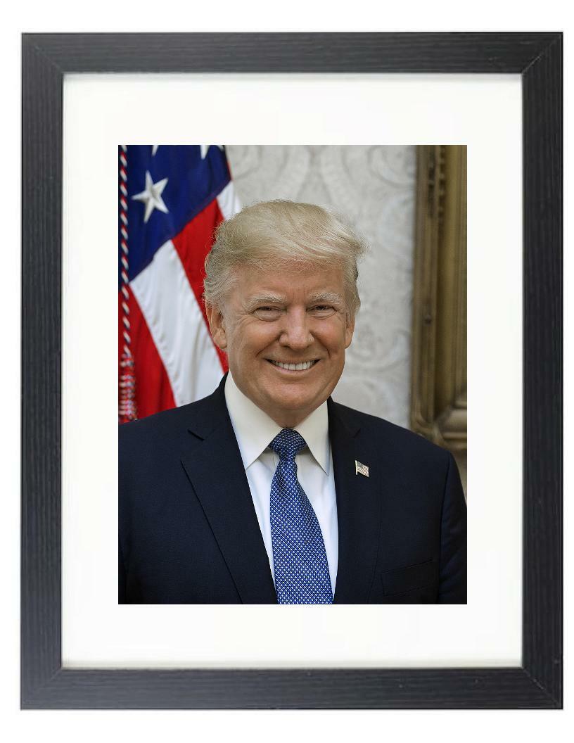 President Donald Trump Portrait Republican GOP 8X10 Framed & Matted ...