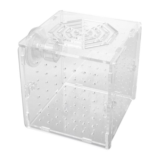 Fish Fry Breeding Box Container Aquarium Isolation Hatching Boxes ...