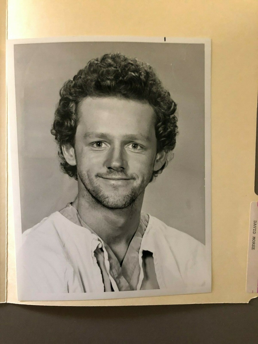 David Morse Young David Morse Just Jared: Celebrity Gossip And