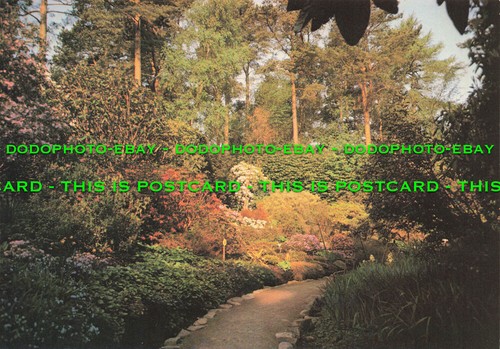 L231396 Inverewe Garden. The Peat Banks. J. Arthur Dixon Ltd. J. D. R ...