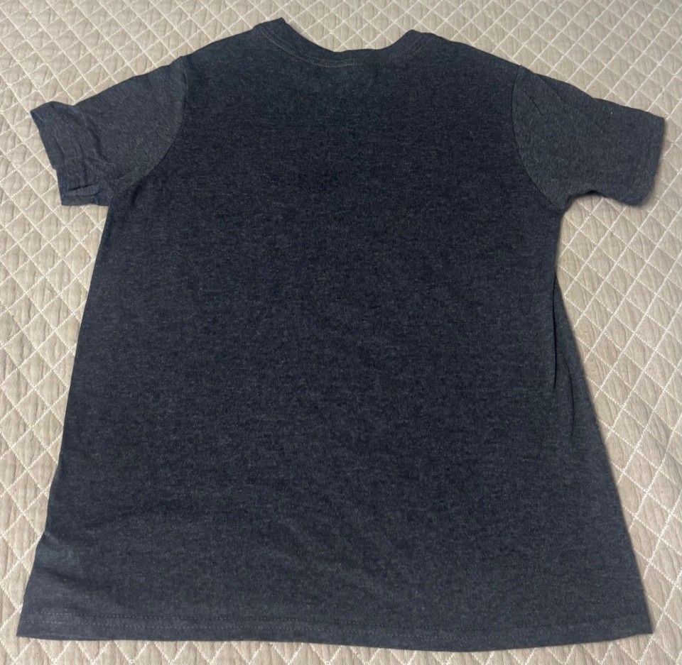 POKÉMON T-Shirt Boy Gray Pikachu & Pumpkins Halloween Graphic Tee ...