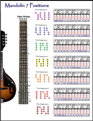 MANDOLIN 7 HAND POSITIONS SMALL CHART - IMPROVISE IN ANY KEY | eBay