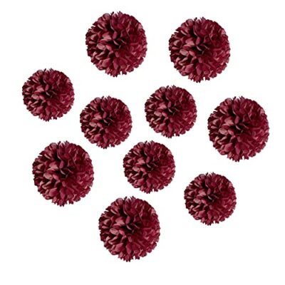10pcs Paper Pom Poms Tissue Paper Flower Art Craft DIY Hanging Flower ...