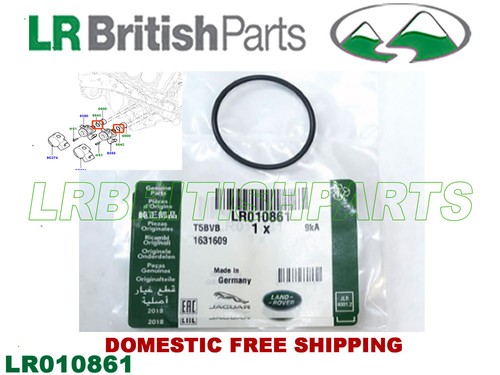 GENUINE LAND ROVER HIGH PRESSURE FUEL PUMP O'RING PETROL LR010861 | eBay