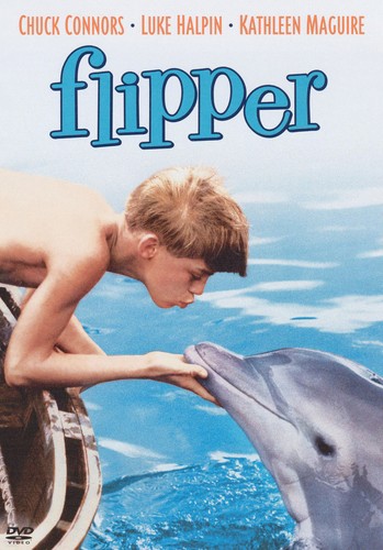Flipper (1963) DVD - Chuck Connors 12569514720 | eBay UK