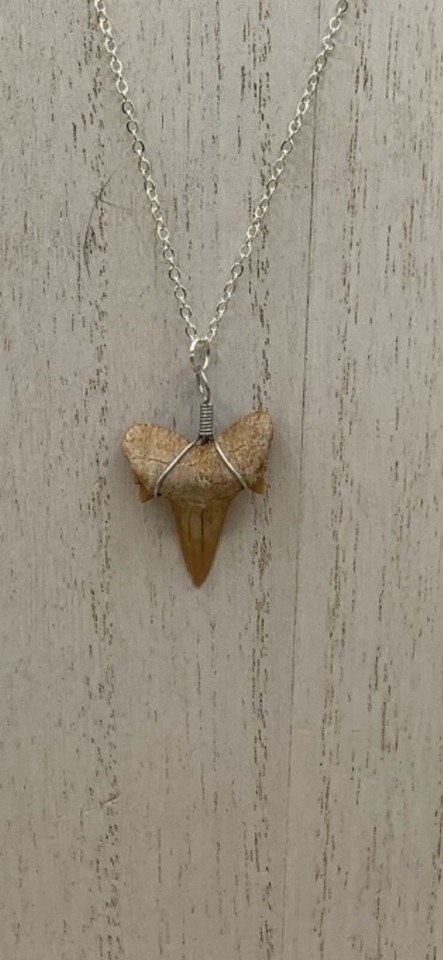 Shark Tooth Necklace 18” Silver Plated Iron Chain | eBay