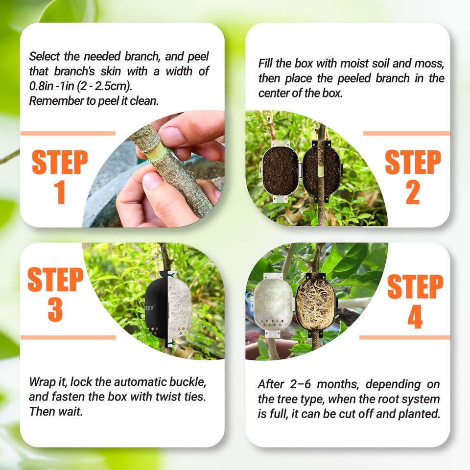 9Pcs Tree Root Growing Box with Drain Holes for Fast Plant Propagation ...