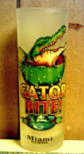 Miami Florida Gator Bite Liquor / Beer Glass | eBay