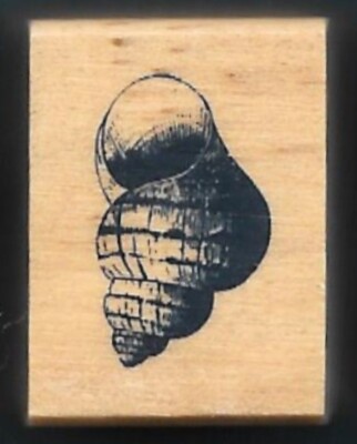 SEA SHELL SNAIL SLUG MARINE WATERS OCEAN LIFE Seashell NEW wood RUBBER ...