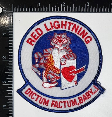 USN US Navy F-14 Tomcat Red Lightning VF-194 Strike Fighter Squadron ...