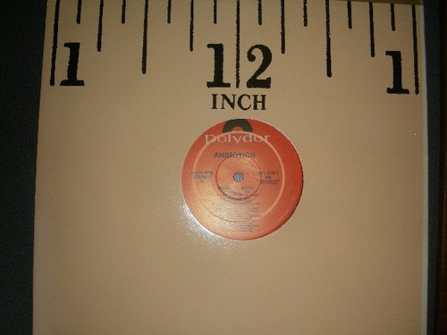 PROMO Dance 12" Animotion - Room To Move (5 Mixes) Polydor NM 1988 | eBay