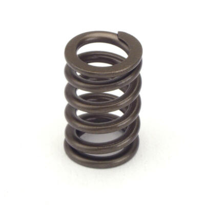 Crower Engine Valve Spring Set 68195-24; for Toyota Supra (2JZ) | eBay