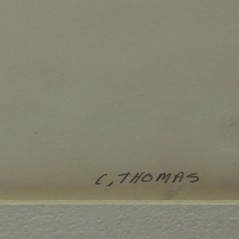 Artist C. Thomas Watercolor and Pen Original Painting Drawing Art 1970 ...