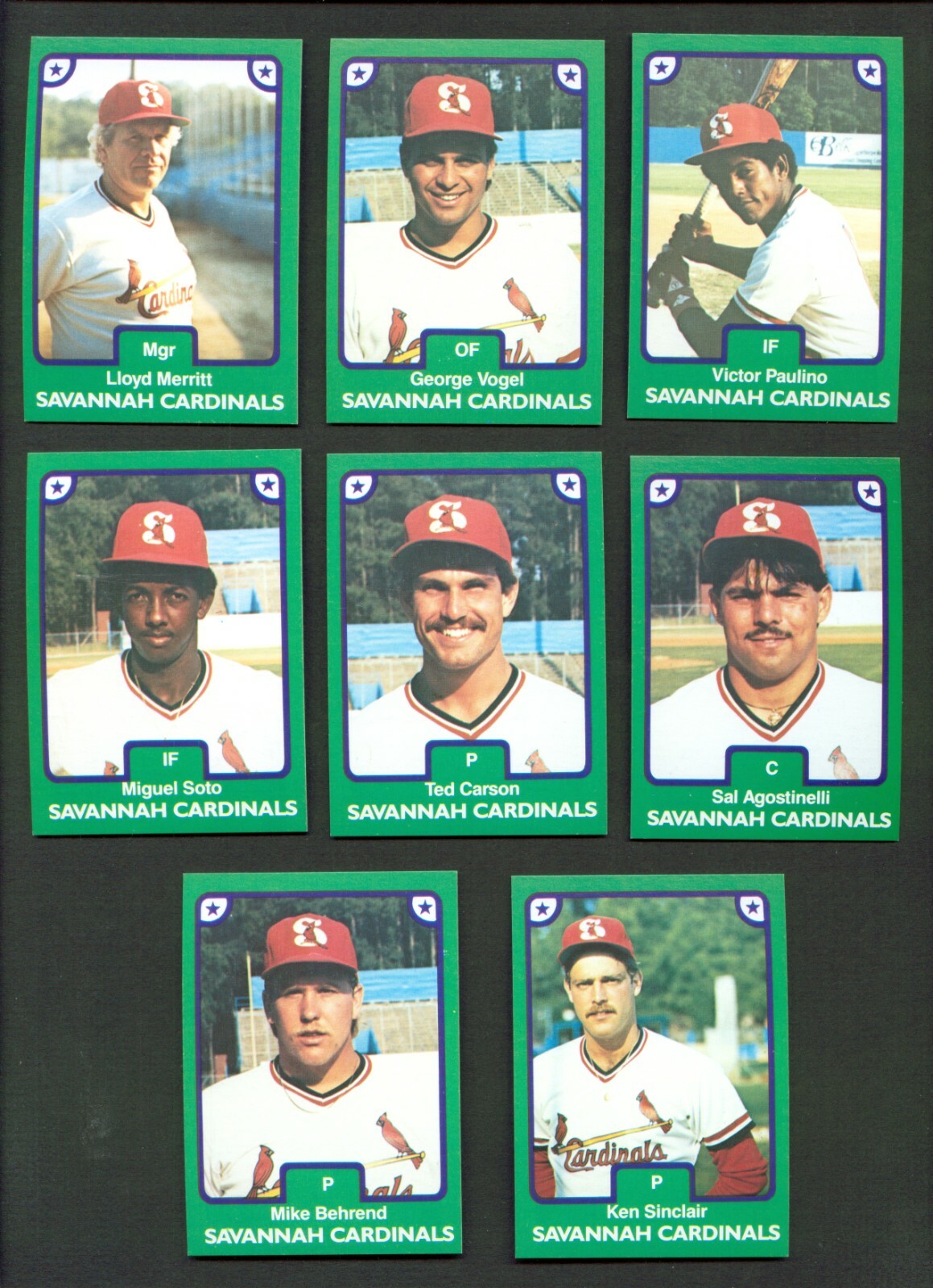 1984 TCMA Savannah CARDINALS #22 SAL AGOSTINELLI Deer Park NEW YORK | eBay