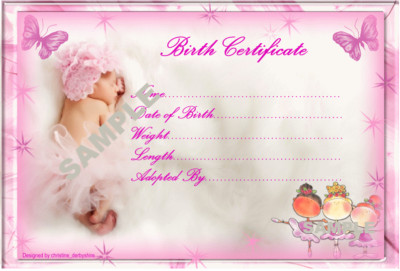 PRETTY PINK BABY BIRTH CERTIFICATE/CERTIFICATES 4 REBORN FAKE BABY ...