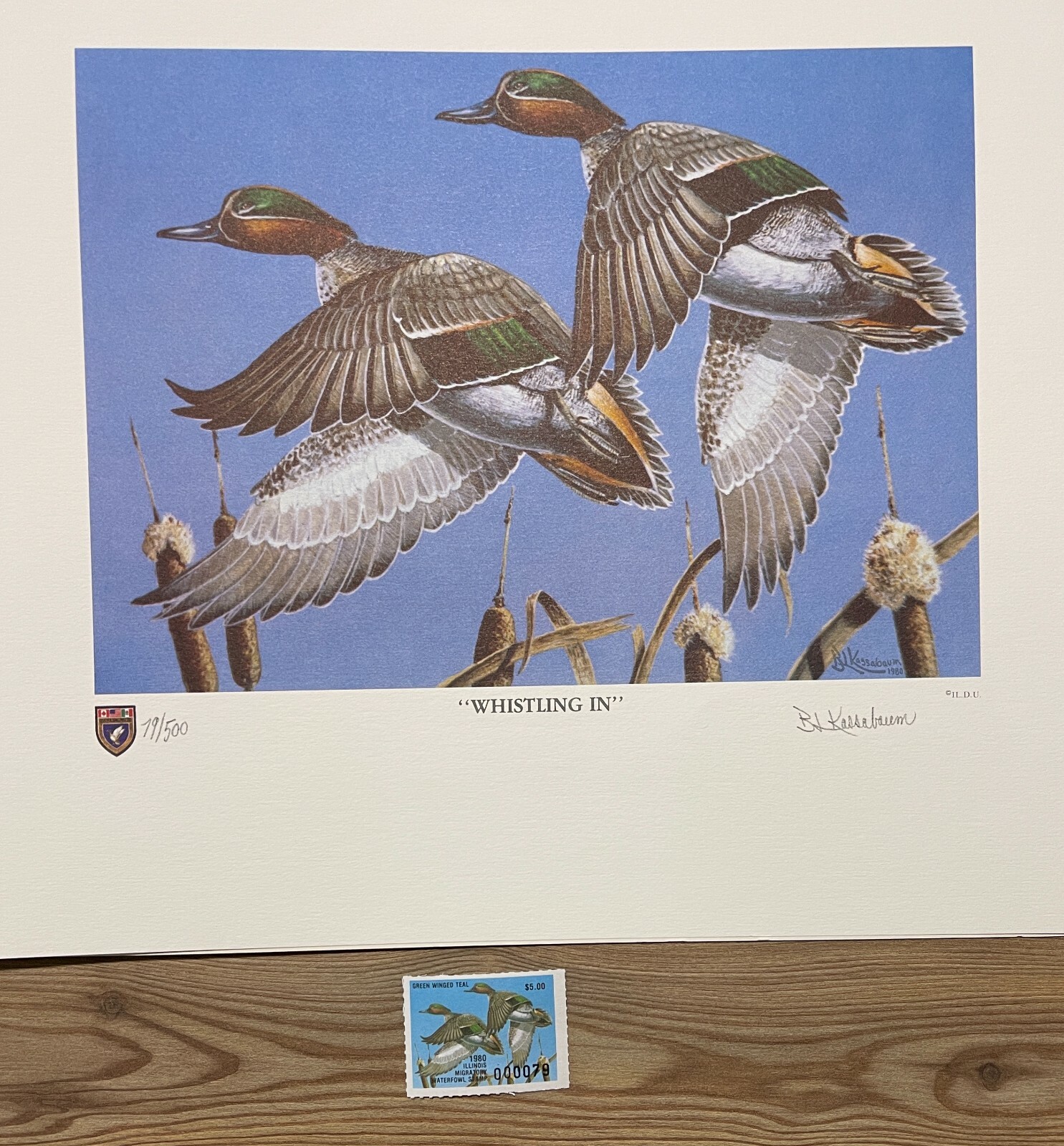 1980 ILLINOIS - State Duck Stamp Print | Grelly USA